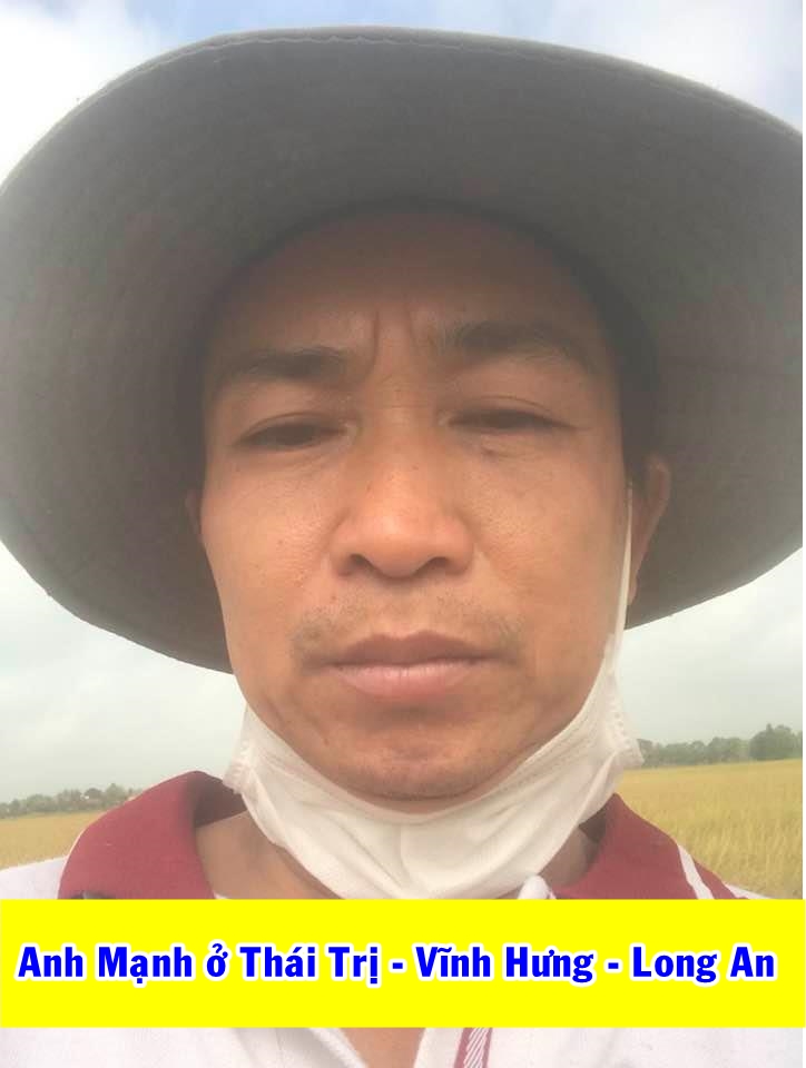 Lúa sử dụng phân bón hiệu Con Lười tại Vĩnh Hưng - Long An