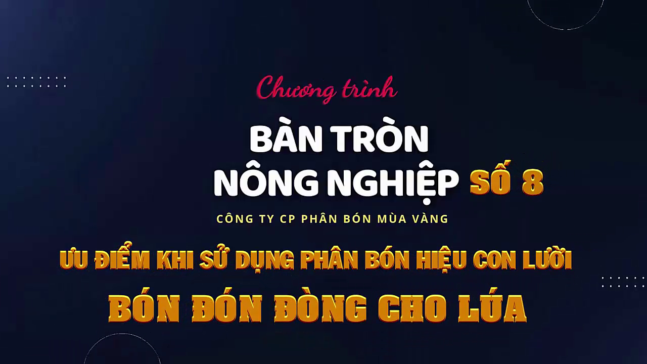 Lợi ích khi sử dụng phân bón hiệu Con Lười bón đón đòng lúa
